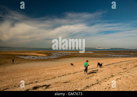 Titchfield Haven National Nature Reserve, Hampshire, England, UK Stock ...