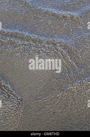 When the tide goes out, the sea and waves leave behind shells and small ...