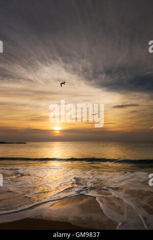 Australia, Coogee, Coogee beach at sunset Stock Photo - Alamy