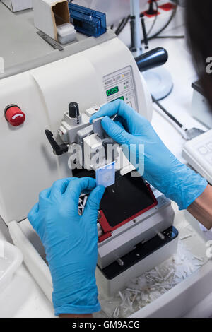 Laboratory technician in analytical laboratory preparing samples for ...