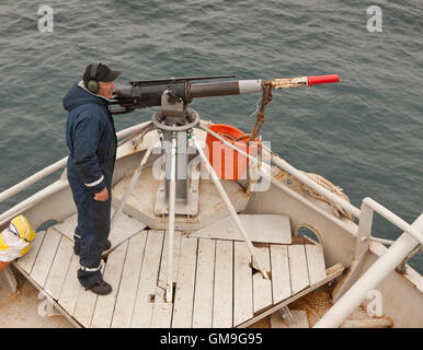 WHALING 4: Shooting the harpoon at a whale. Ship (Field Sports- Orme ...