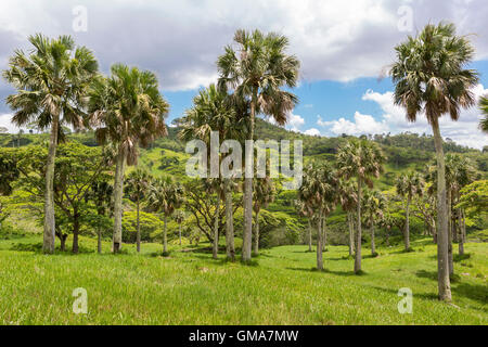 Dominican Republic landscape Stock Photo - Alamy