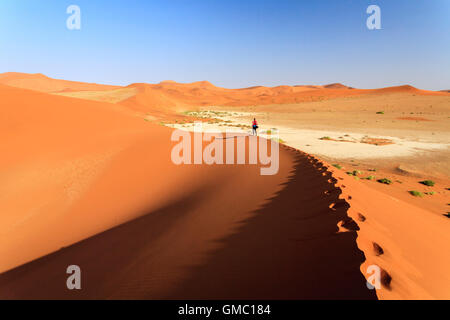 Dunes hiking in the Namib Desert, Namib Naukluft National Park, Namibia ...