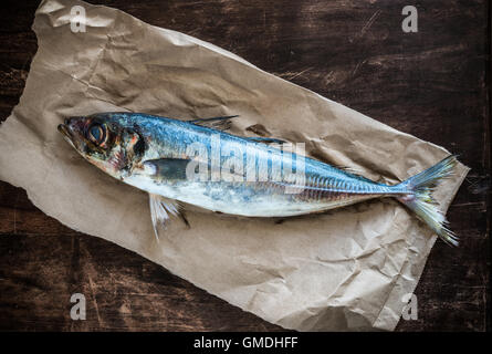 saurel marine fish Stock Photo - Alamy