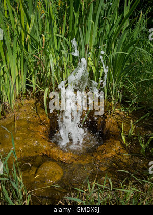 Mineral water, spring "de l'île" ; Sainte Marguerite, Saint Maurice-ès ...