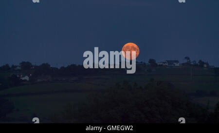 Strawberry full moon rising above golden fields. Image captured from ...