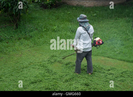 garden job, lawn mower is cutting a field, spring gardening. Green ...