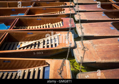 A closeup view of wooden punts moored up at the "Head of the River" in ...