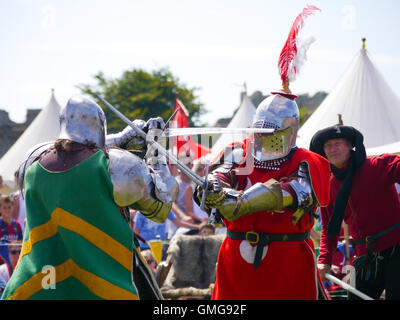 Tudor knights in full harness using polearms in combat Stock Photo - Alamy