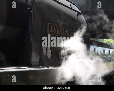 The last steam locomotive built for British Railways Evening Star at ...