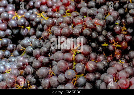 grape Beauty Seedless background Stock Photo - Alamy