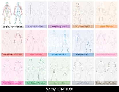 Meridian System Chart - Male body with principal and centerline ...