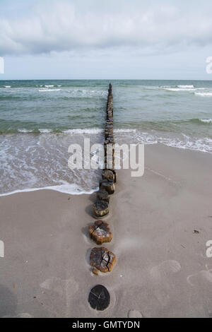 A groyne is a rigid hydraulic structure built from an ocean shore that ...