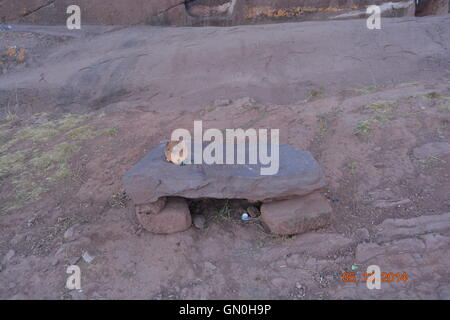 Amaru Meru,Gates to the Gods, Stargate, Peru Stock Photo - Alamy