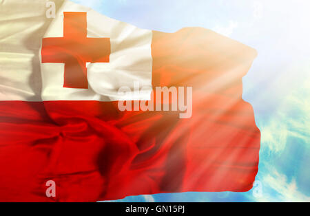 Tonga waving flag against blue sky Stock Photo - Alamy