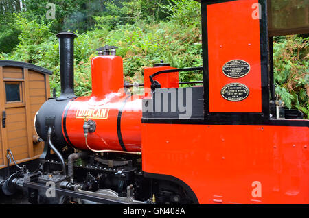 Duncan the red steam engine pulls the train from Talyllyn to the slate ...