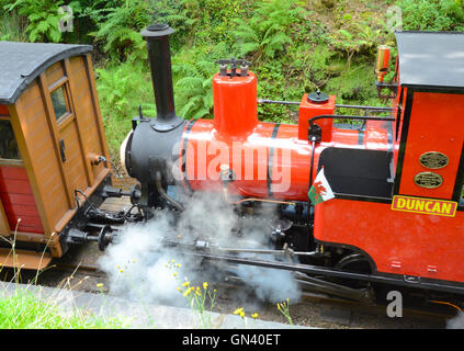 Duncan the red steam engine pulls the train from Talyllyn to the slate ...