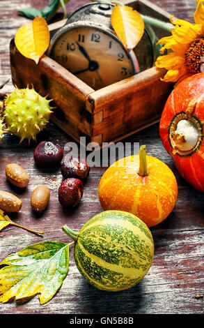 Autumn decorative pumpkin,chestnuts and retro alarm clock Stock Photo ...