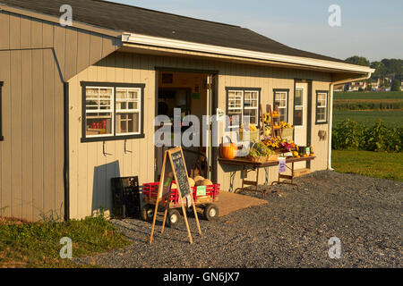 Amish farm, New Holland, Lancaster, Pennsylvania, USA Stock Photo - Alamy