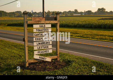 Amish farm, New Holland, Lancaster, Pennsylvania, USA Stock Photo - Alamy