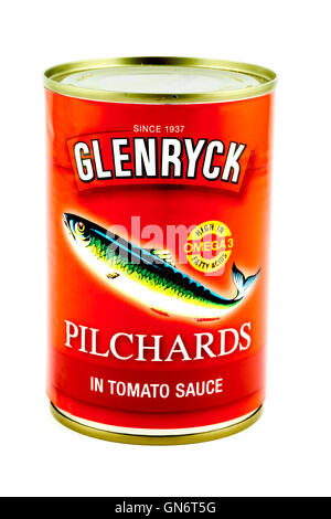 Tin Of Pilchards in Tomato Sauce Stock Photo - Alamy
