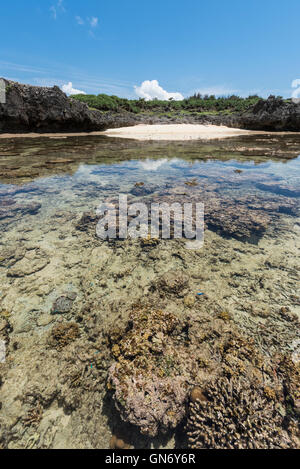 Sea of Hatoma, Okinawa, Japan Stock Photo - Alamy