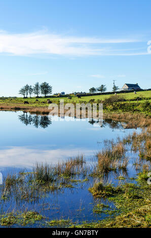 Dozmary Pool Lake on Bodmin Moor Cornwall England. It is one site that ...