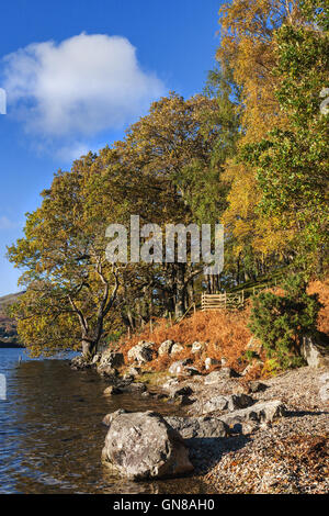 autumn trees on the rocky shore of the river Stock Photo - Alamy
