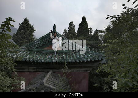 Shiyan, Shiyan, China. 29th Aug, 2016. Shiyan, CHINA- August 21 2016 ...