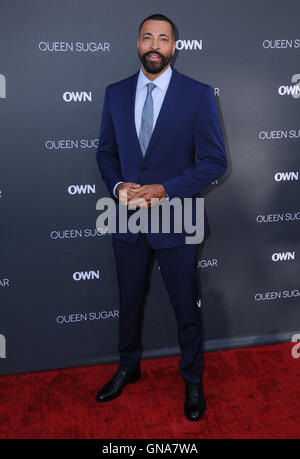 Timon Kyle Durrett at the premiere of OWN's "Queen Sugar" at the Warner ...