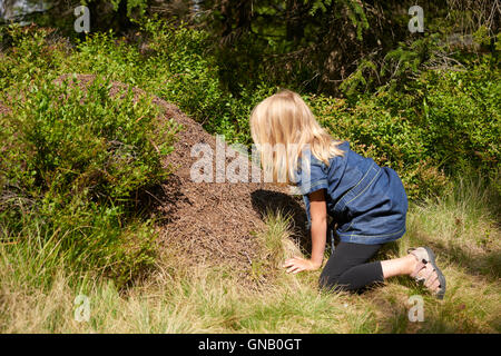 Child blond girl exploring anthill in the woods Stock Photo - Alamy