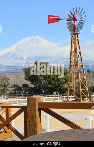 The Makaino Ranch, in Shizuoka Prefecture, Japan, gives visitors the ...