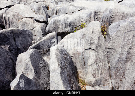 Rainwater carved marble rock called karren Stock Photo - Alamy