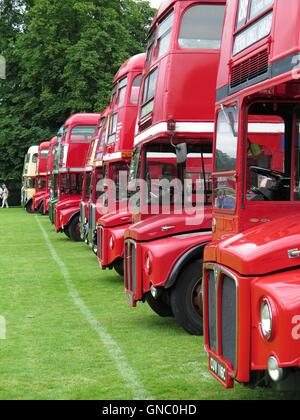 Vintage & Classic Bus rally Stock Photo - Alamy