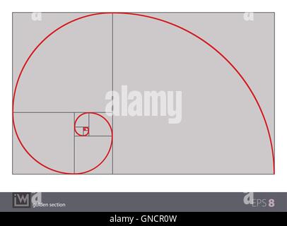 Golden ratio logarithmic spiral in rectangle frame. Harmony nature ...