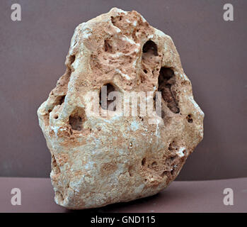 stone like an alien skull Stock Photo - Alamy