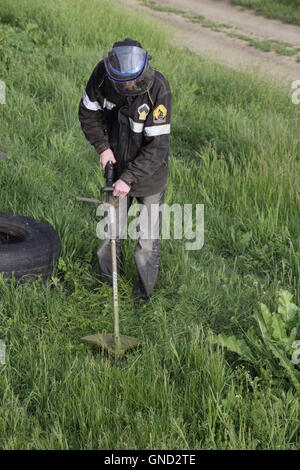 Mowing green grass using a fishing line trimmer. Application trimmers ...