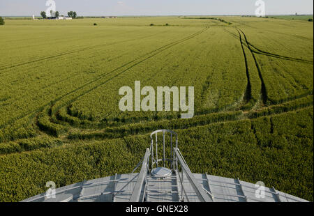 ROMANIA Banat, village Semlac, farm worker in romanian car Dacia Stock ...
