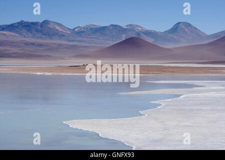 Laguna Blanca with ice sheet, Andes in Southwestern Bolivia Stock Photo ...