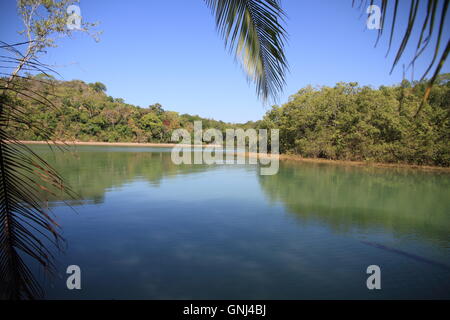 The river mouth and mangroves of the Rio Naranjo near Manuel Antonio ...