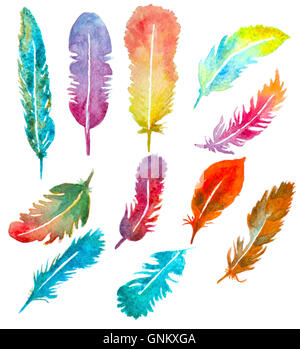 Set of feathers, hand painted watercolor clipart, illustration on white ...