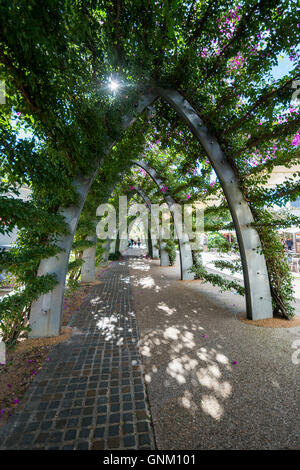 Arbour Walk, Southbank Brisbane Stock Photo - Alamy