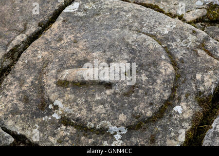 Phallic symbol at the Roman fort of Chesters, Hexham, Northumberland ...