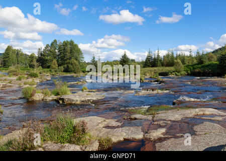 The River Dee at the Otter Pool on Raiders Road Forest Drive, Galloway ...