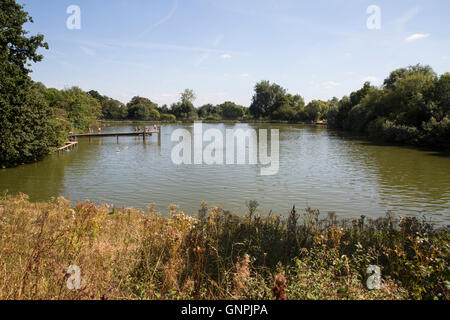 Swimming pond o Hampstead Heath, North London, England, UK Stock Photo ...