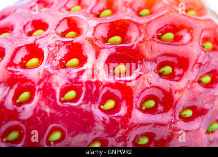 strawberry macro background close up Stock Photo - Alamy