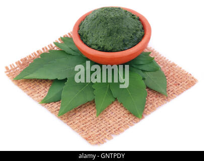 Paste of medicinal Vitex Negundo with green leaves Stock Photo - Alamy