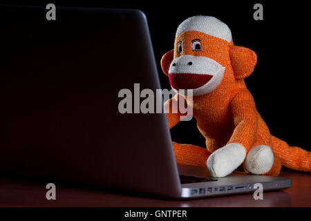 Monkey with laptop computer Stock Photo - Alamy