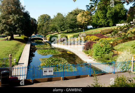 The lily pond, Abbey Park, Evesham, Worcestershire, England, UK Stock Photo - Alamy