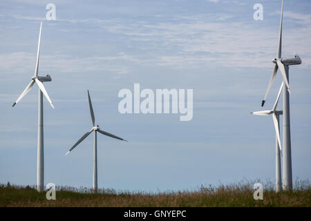 Wind turbines in Cap-Chat, Que., on Aug. 28, 2016 Stock Photo - Alamy